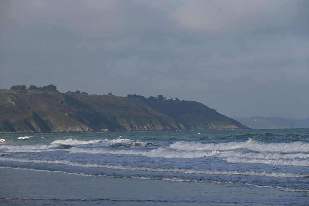 PLATS DU JOUR DE LA #SEMAINE4 du 19 AU 23 JANVIER 2026 | Foody Bread